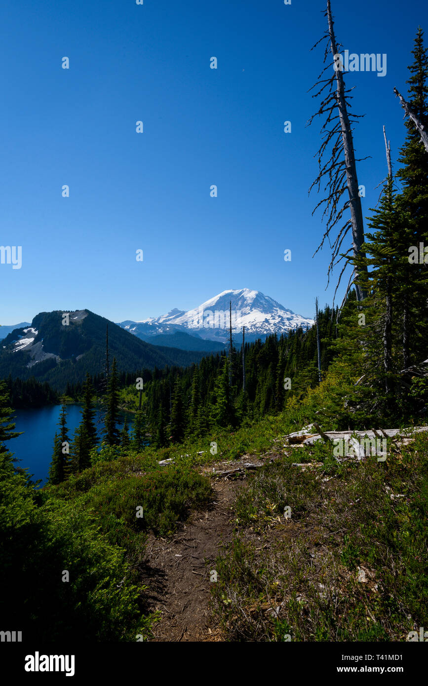 Mt Rainier and Alpine Lake in The Cascade Mountains Stock Photo - Alamy