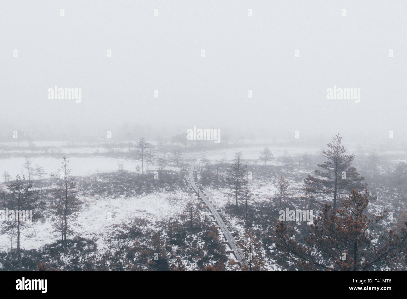 Swamp on winter hi-res stock photography and images - Alamy