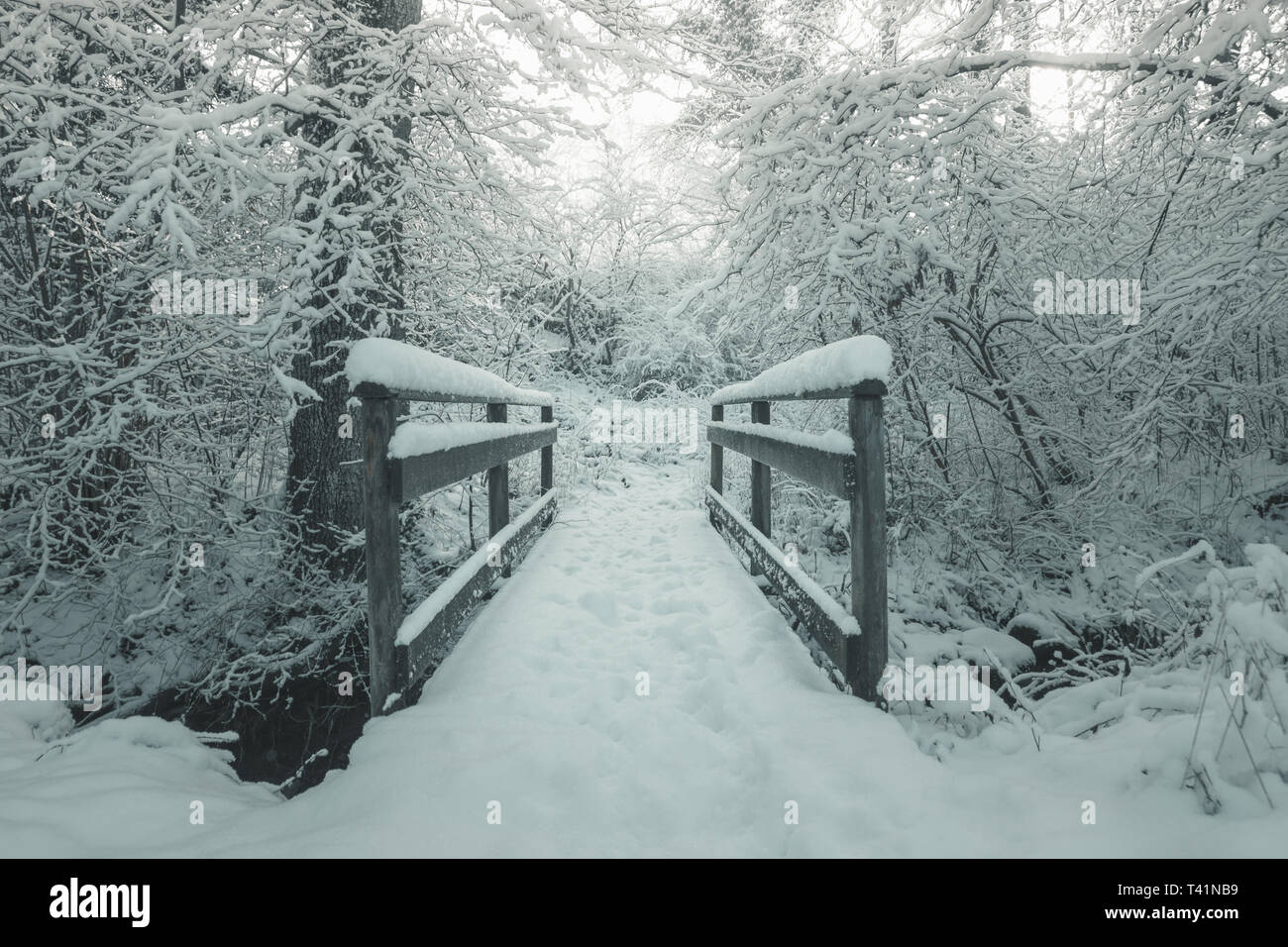 snow covered wooden bridge with foot steps in front of forest in the ...