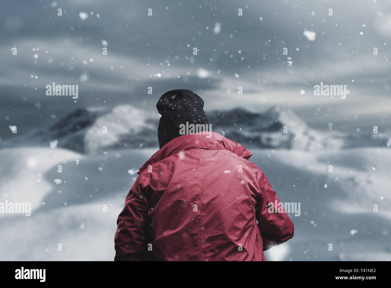 back of hiker with red jacket in front of snowy mountain range Stock ...