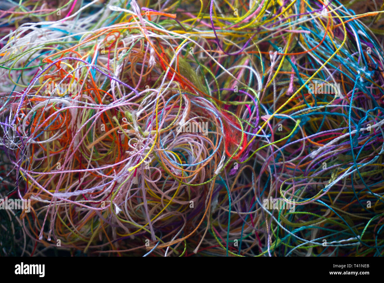 Nest illustration line hi-res stock photography and images - Alamy