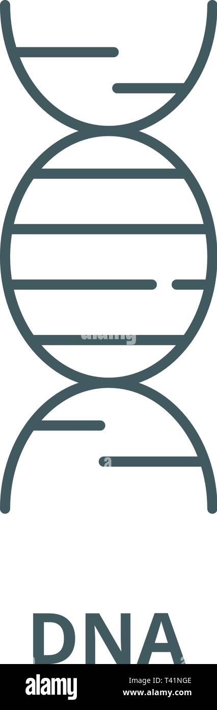 Dna line icon, vector. Dna outline sign, concept symbol, flat ...