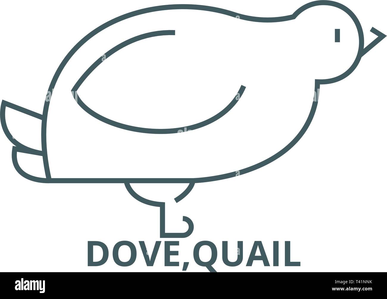 Dove,quail line icon, vector. Dove,quail outline sign, concept symbol ...