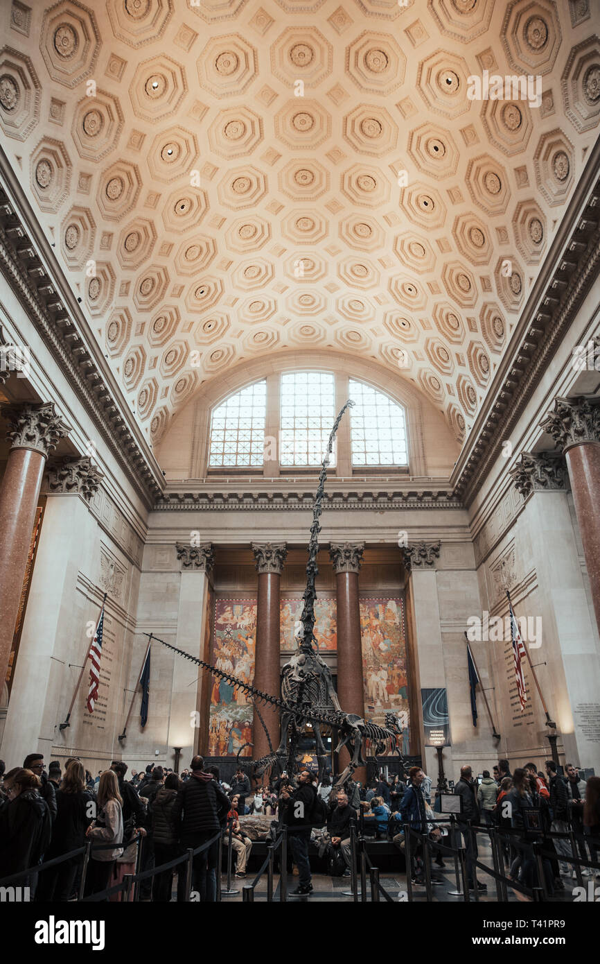 American Museum of Natural History Lobby Stock Photo - Alamy
