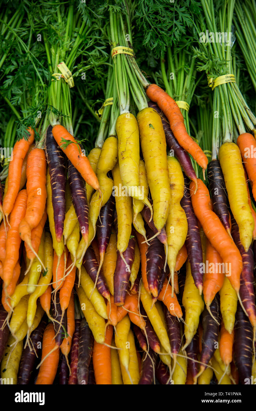 Multi-colored carrots for sale at farmer's market Stock Photo - Alamy