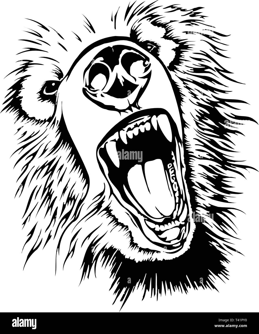 Bear Vector Illustration Stock Vector Image & Art - Alamy