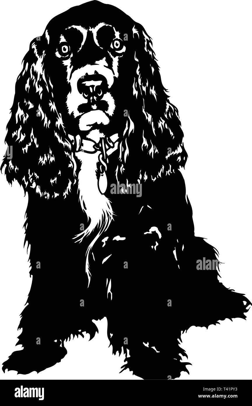 Cocker Spaniel Vector Illustration Stock Vector Image & Art - Alamy