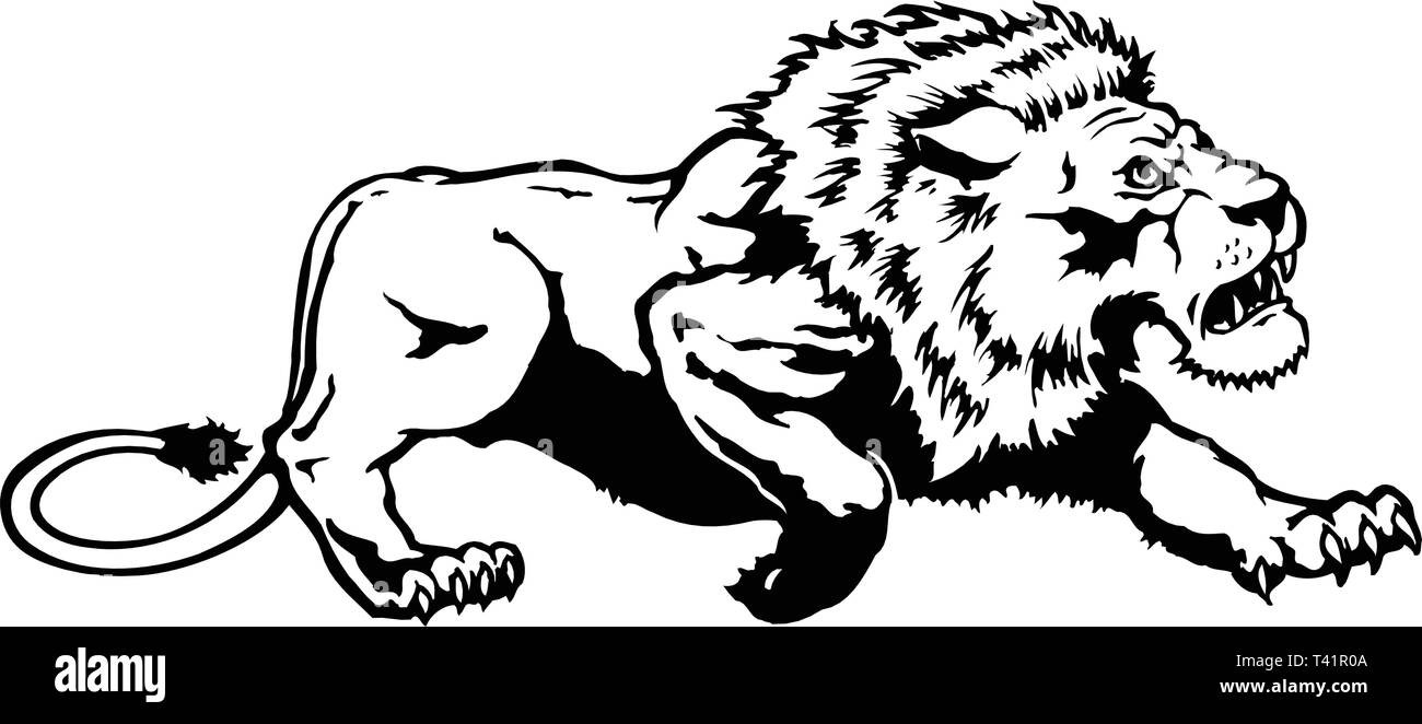 Lion Crouching Vector Illustration Stock Vector Image & Art - Alamy