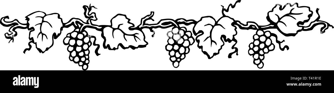 Grape Border Vector Illustration Stock Vector Image & Art - Alamy