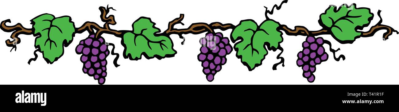 Grape Border Vector Illustration Stock Vector Image & Art - Alamy