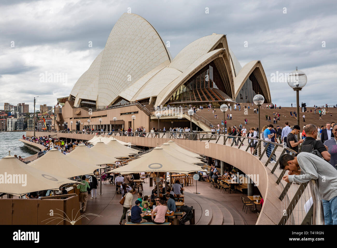 Sydney opera house bar on the terrace and sydney opera house building ...