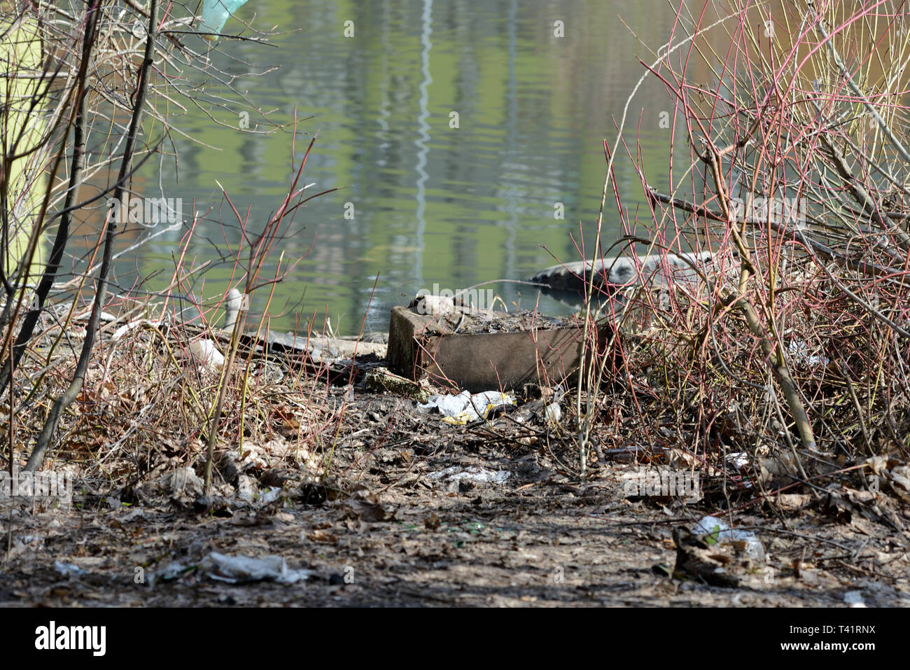 Garbage in the spring forest. The problem of ecology and pollution of ...