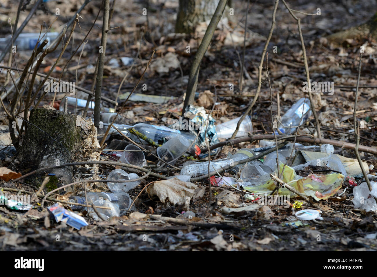 Garbage in the spring forest. The problem of ecology and pollution of ...