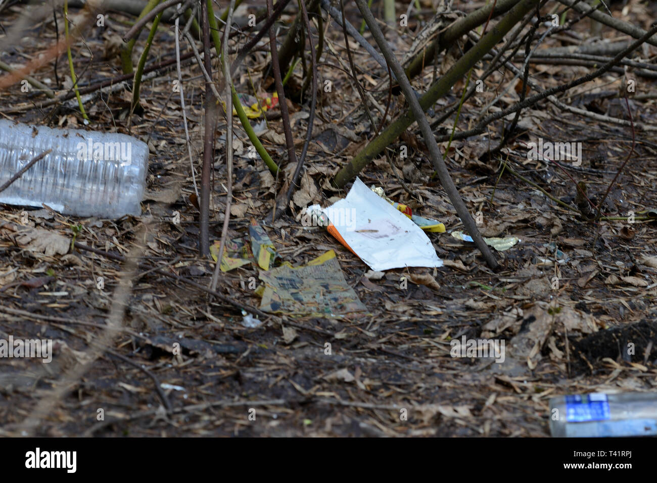 Garbage in the spring forest. The problem of ecology and pollution of ...