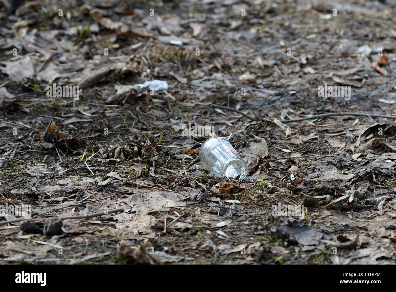 Garbage in the spring forest. The problem of ecology and pollution of ...