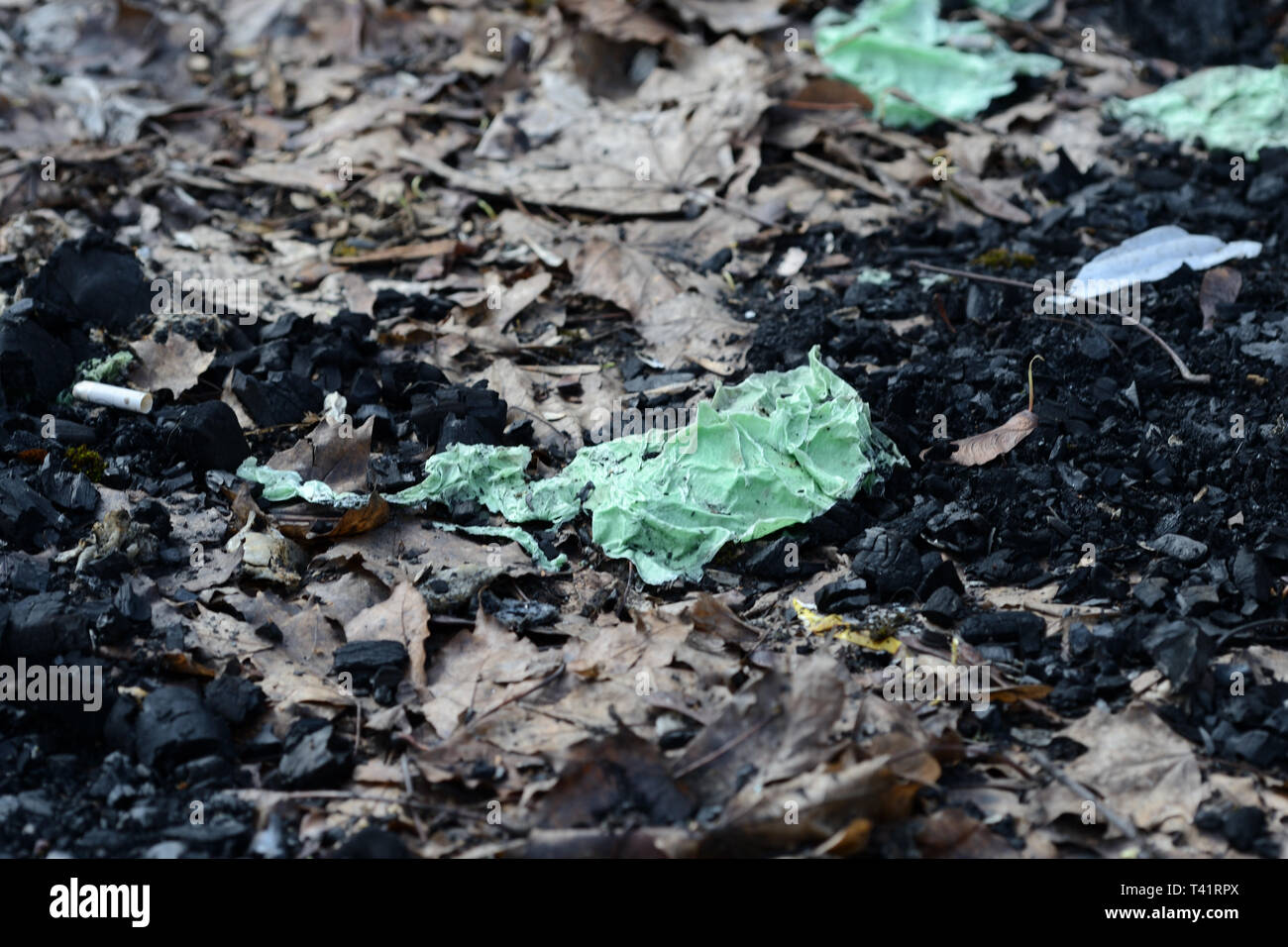 Garbage in the spring forest. The problem of ecology and pollution of ...