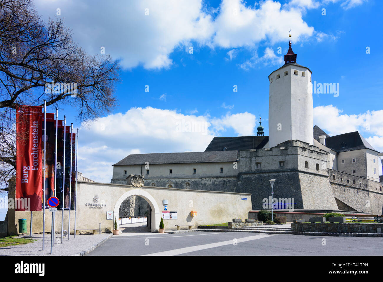 Forchtenstein: Forchtenstein Castle in Neusiedler See (Lake Neusiedl ...