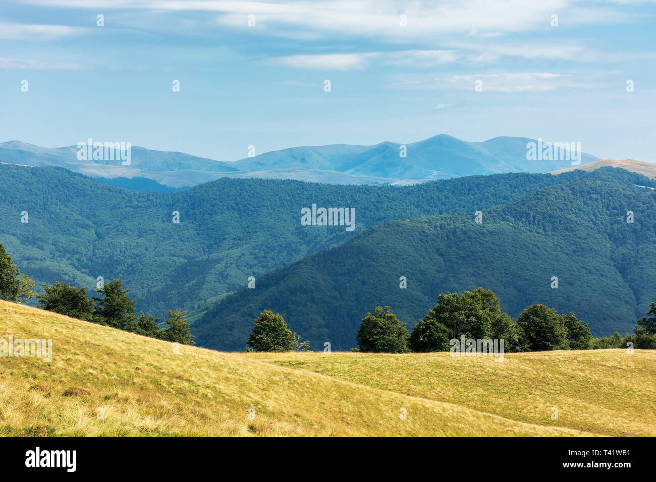 wonderful mountain landscape in late summer. alpine meadow with ...