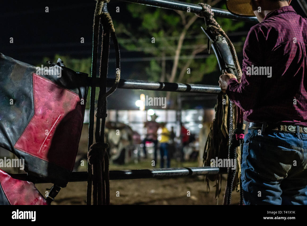 latin bull rider getting ready before a ride in Guatemalan rodeo Stock ...