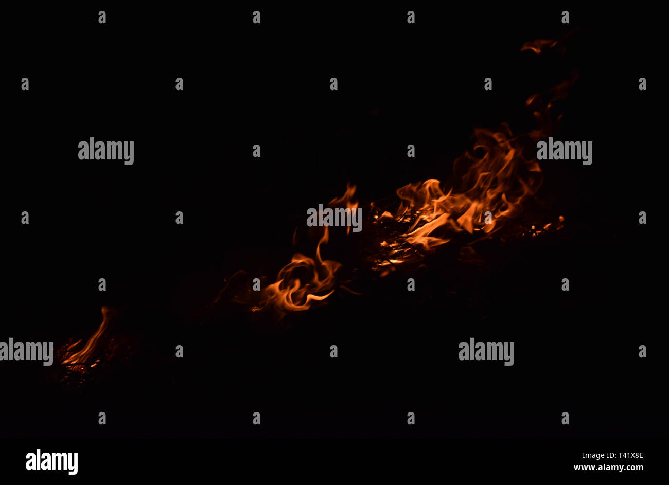 Fire fire. Burning of rice straw at night Stock Photo - Alamy