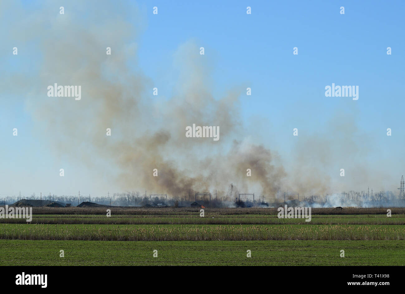 Fire on irrigation canals. Burning dry grass and cane fields in ...