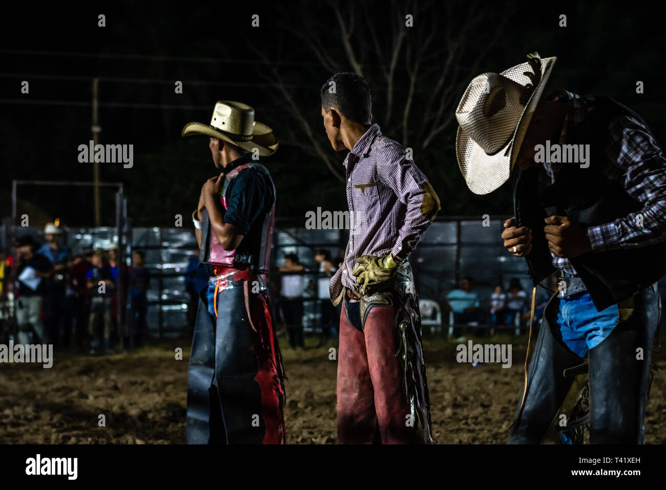 Bull riding american flag hi-res stock photography and images - Alamy