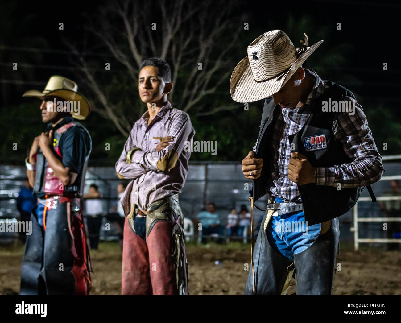 Bull riding american flag hi-res stock photography and images - Alamy