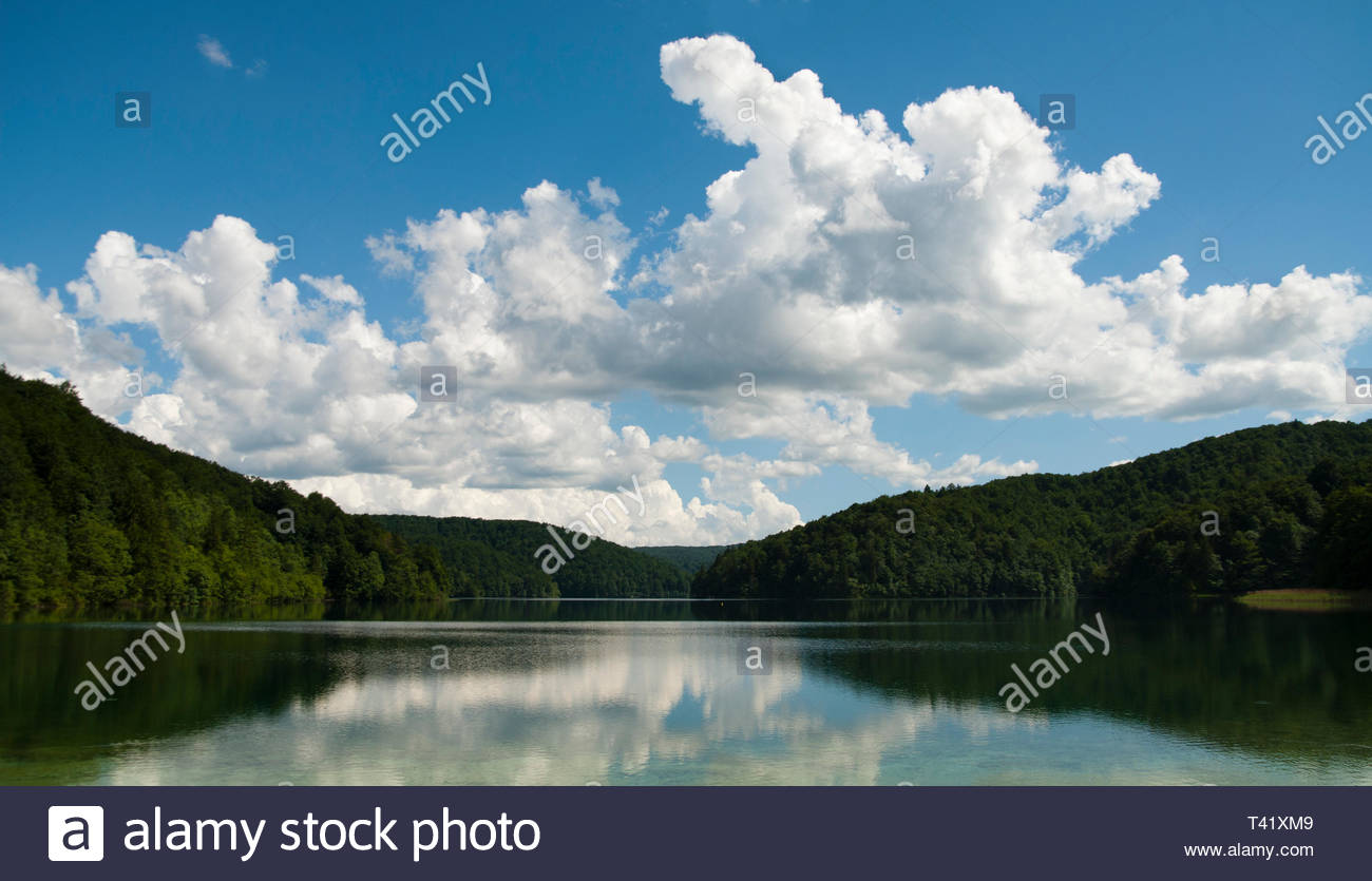 Tree Surrounded By Water Stock Photos & Tree Surrounded By Water Stock ...