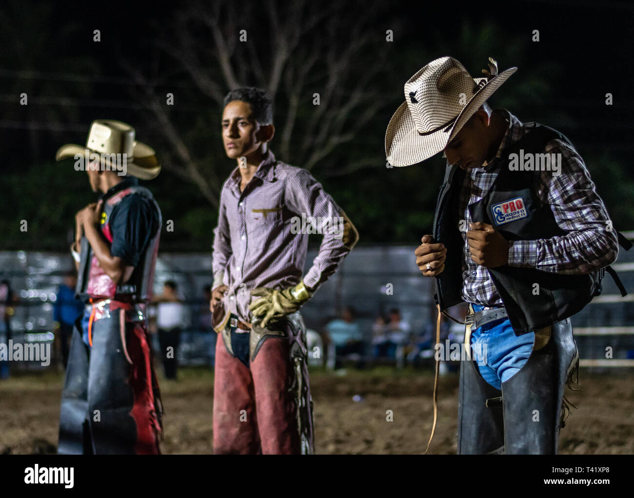 Bull riding vest hi-res stock photography and images - Alamy