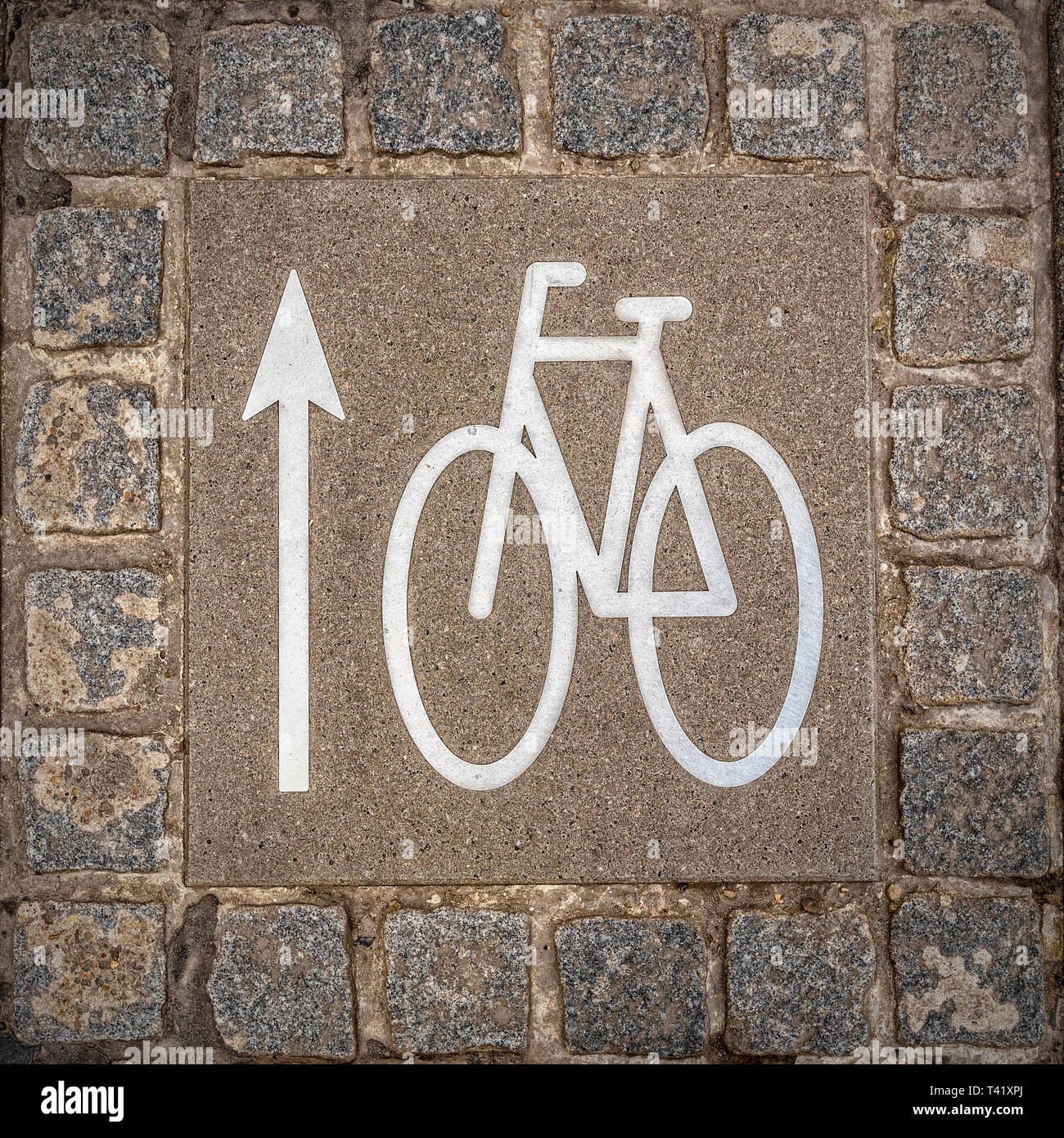 A bicycle lane sign on the ground indicating the direction of travel ...