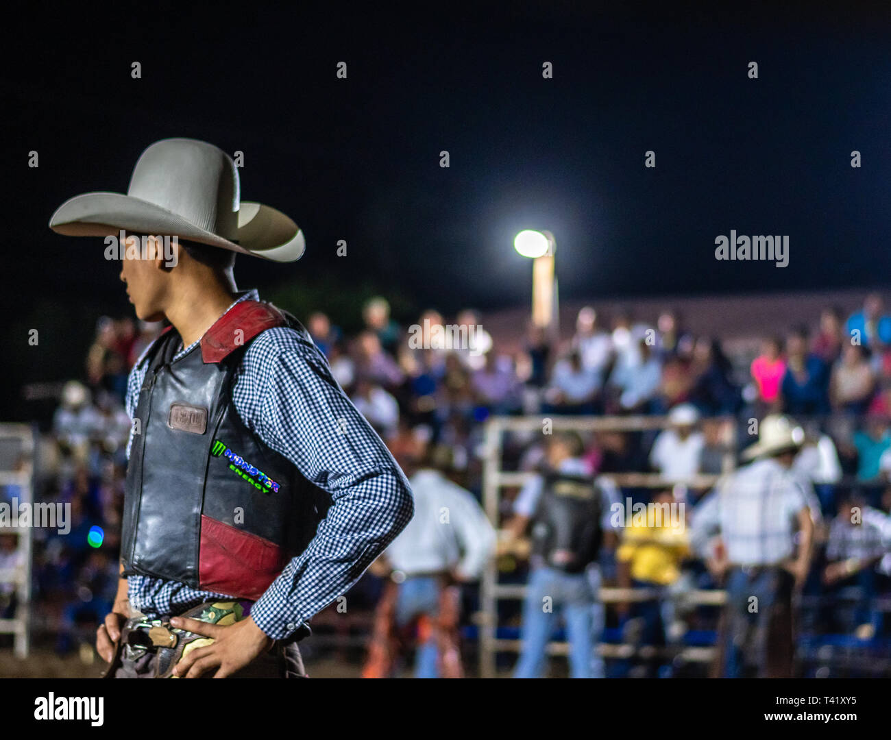 Bull riding american flag hi-res stock photography and images - Alamy