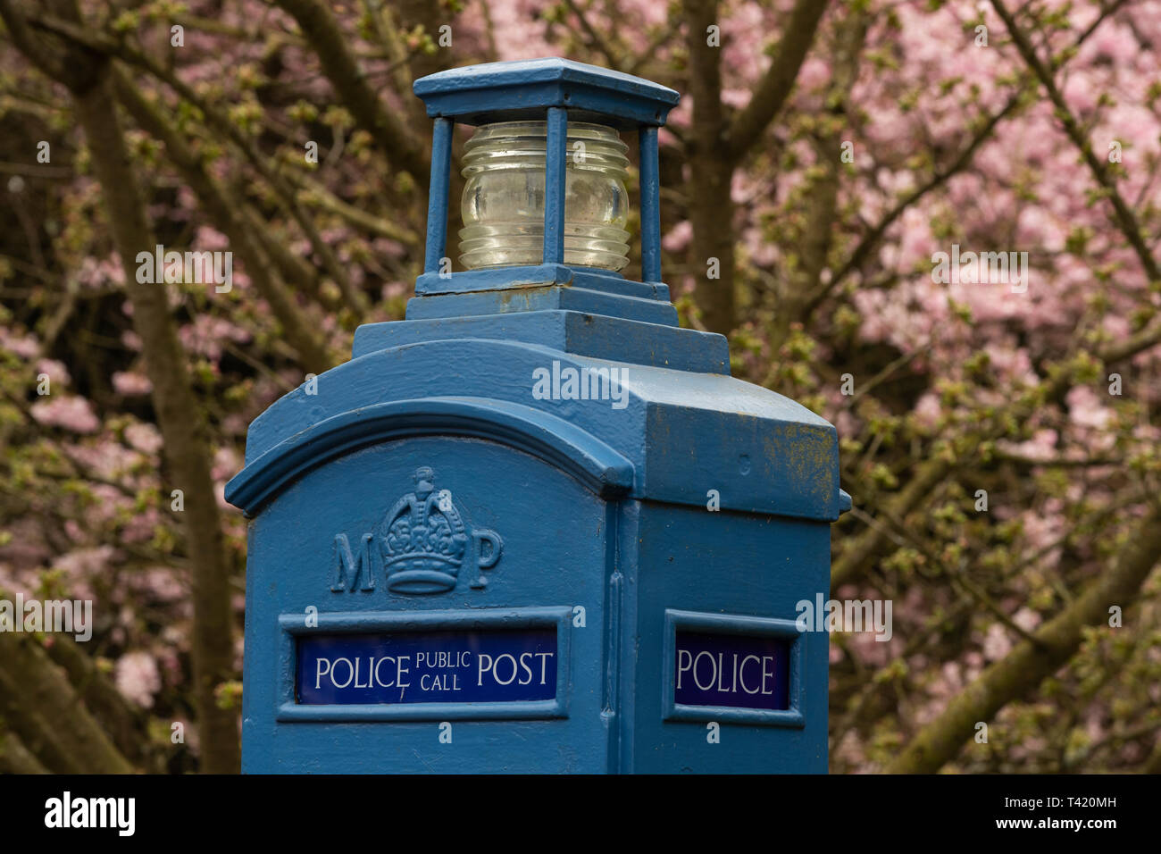 Metropolitan Police Box Stock Photo - Alamy