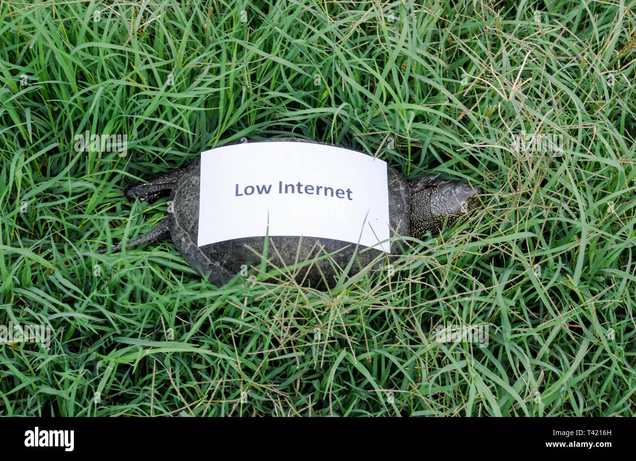 Low internet. A bad internet symbol. Low download speed. Slow internet ...