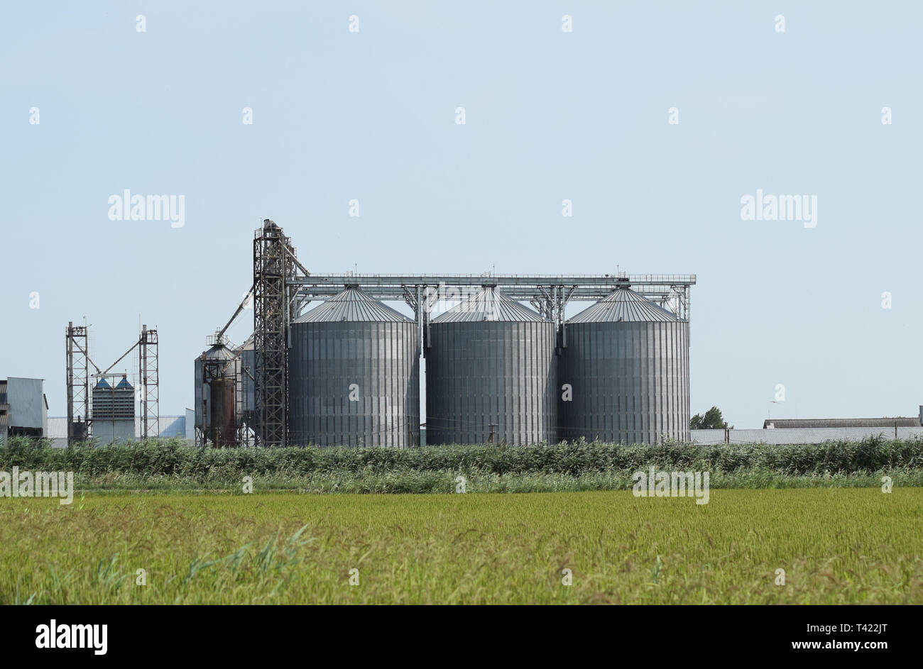 Plant for storage and processing of grain Stock Photo - Alamy