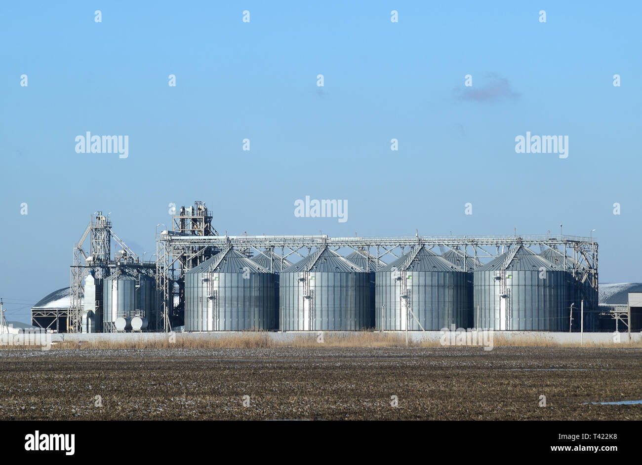 Plant for the drying and storage of grain. Rice plant in the middle of ...