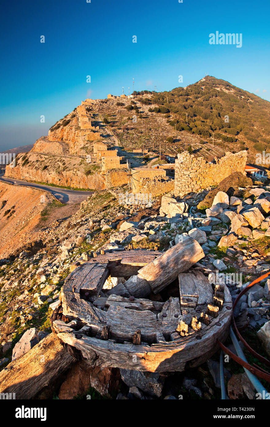 Seli ambelou hi-res stock photography and images - Alamy