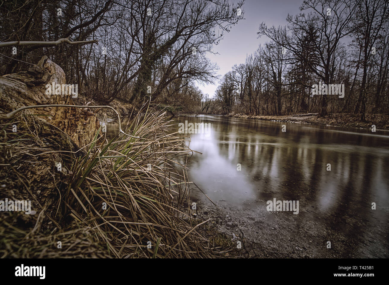 Winter at the Amper river Stock Photo - Alamy