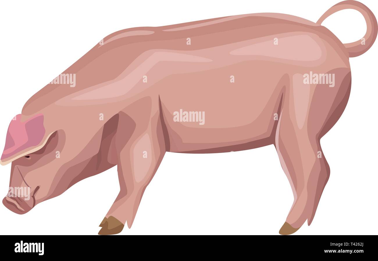 pig icon cartoon Stock Vector Image & Art - Alamy
