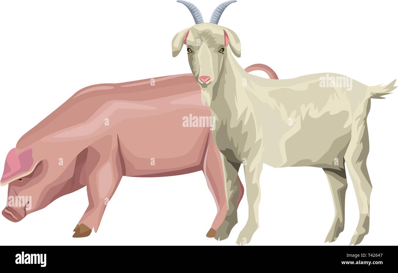 pig and goat Stock Vector Image & Art - Alamy