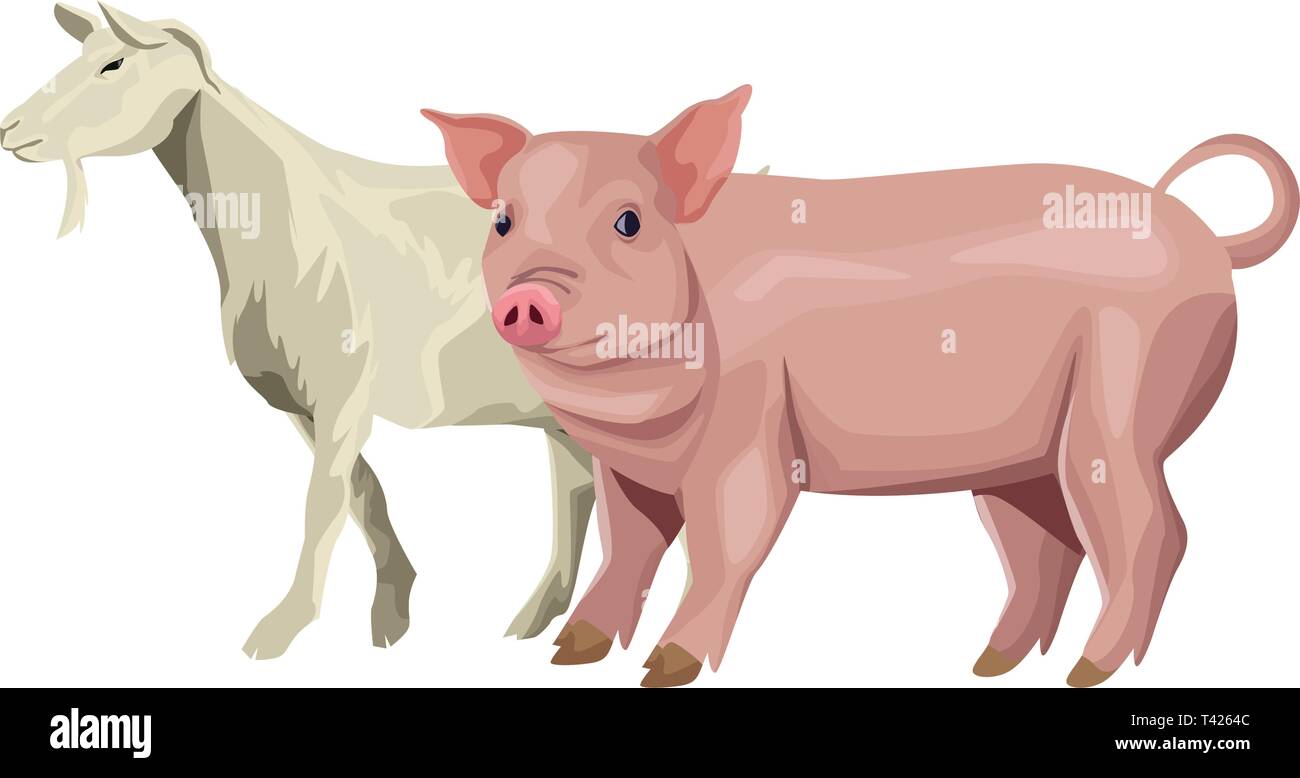 pig and goat Stock Vector Image & Art - Alamy