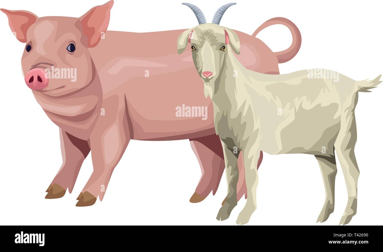 pig and goat Stock Vector Image & Art - Alamy