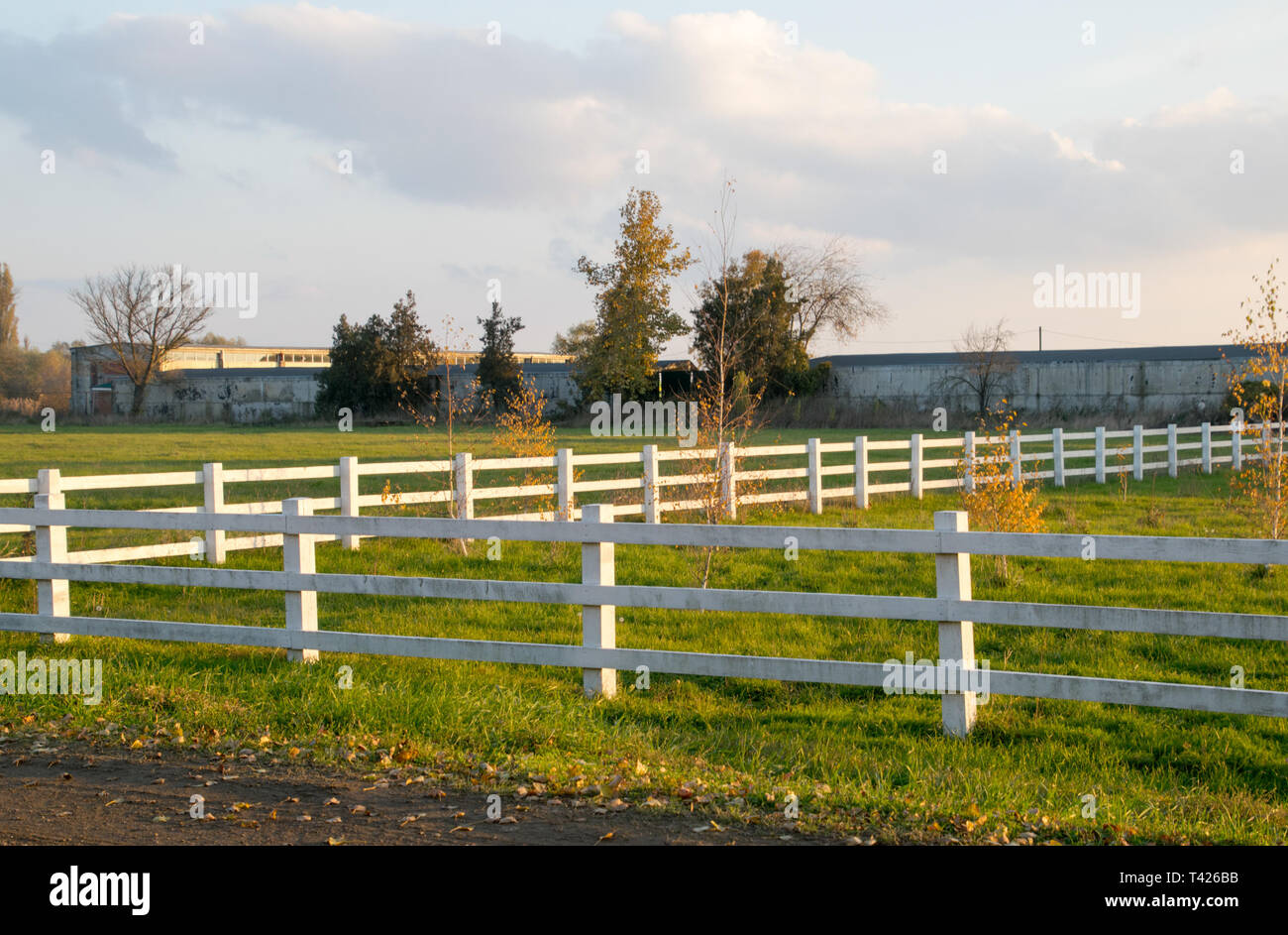white fence made of wood around the park with small seedlings Stock ...