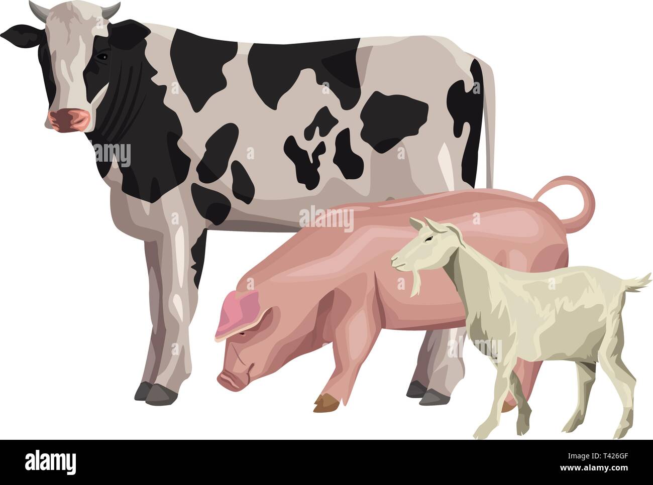cow pig and goat Stock Vector Image & Art - Alamy