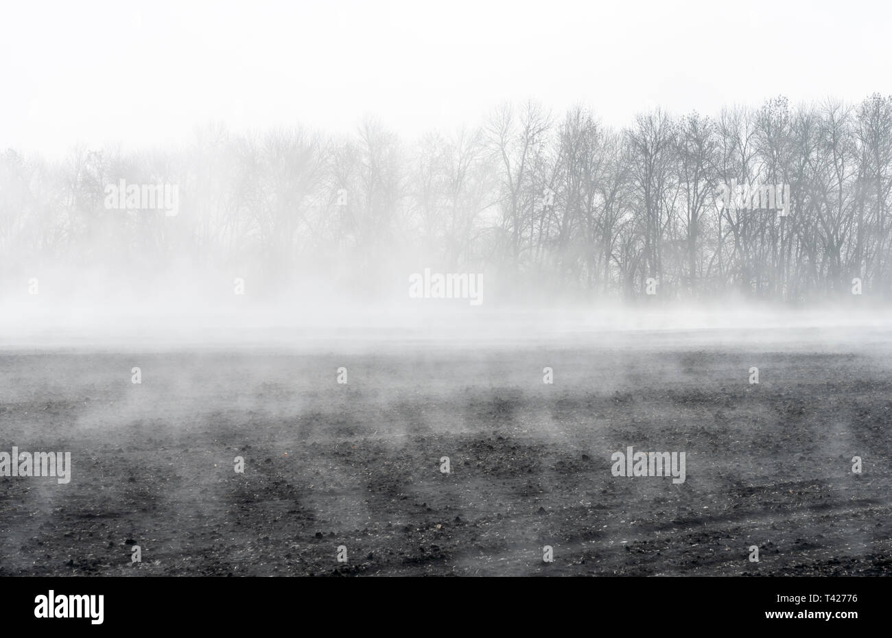 Heat haze field hi-res stock photography and images - Alamy