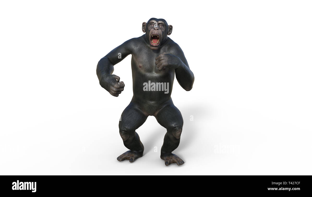 Shrieking hi-res stock photography and images - Alamy