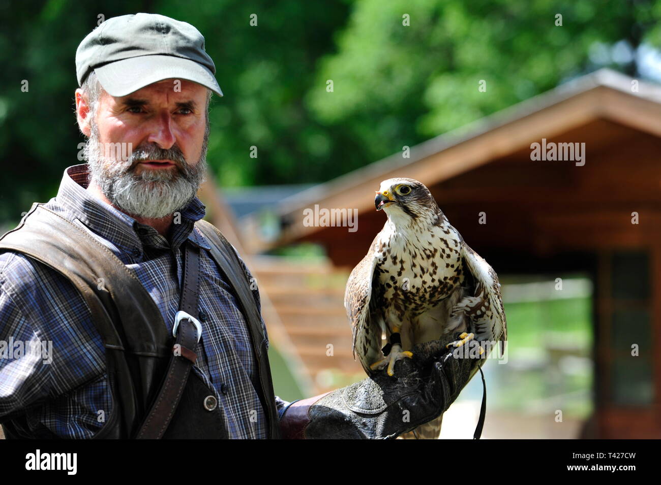 Fliegender portrait hi-res stock photography and images - Alamy