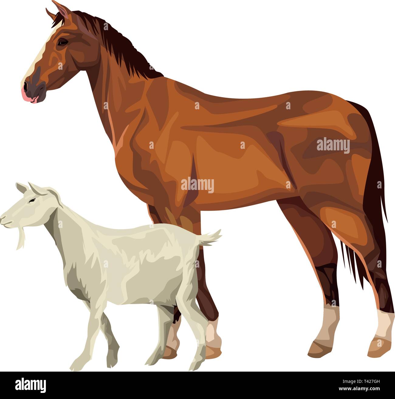 horse and goat Stock Vector Image & Art - Alamy
