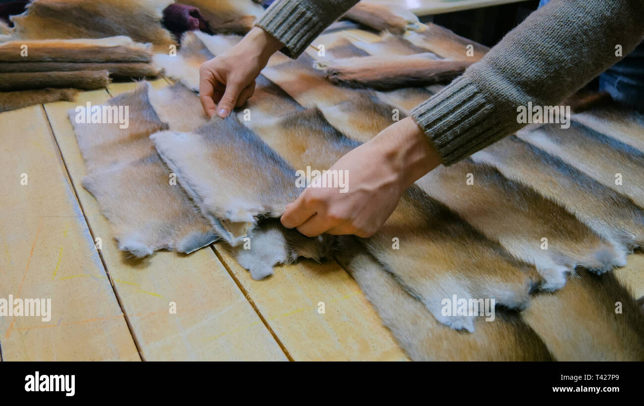 Skinner working with mink fur skin Stock Photo - Alamy