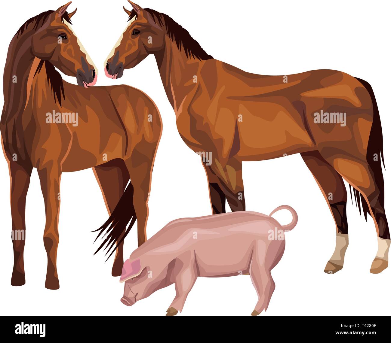horse and pig Stock Vector Image & Art - Alamy