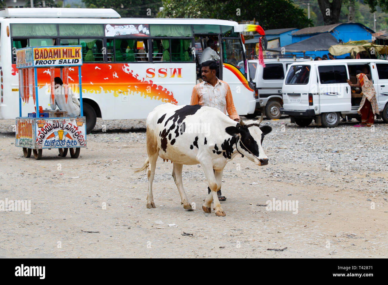 Indian man with cow hi-res stock photography and images - Alamy
